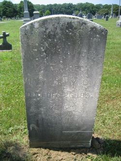 William McGee Gravestone SJC – Windham Textile and History Museum – The ...