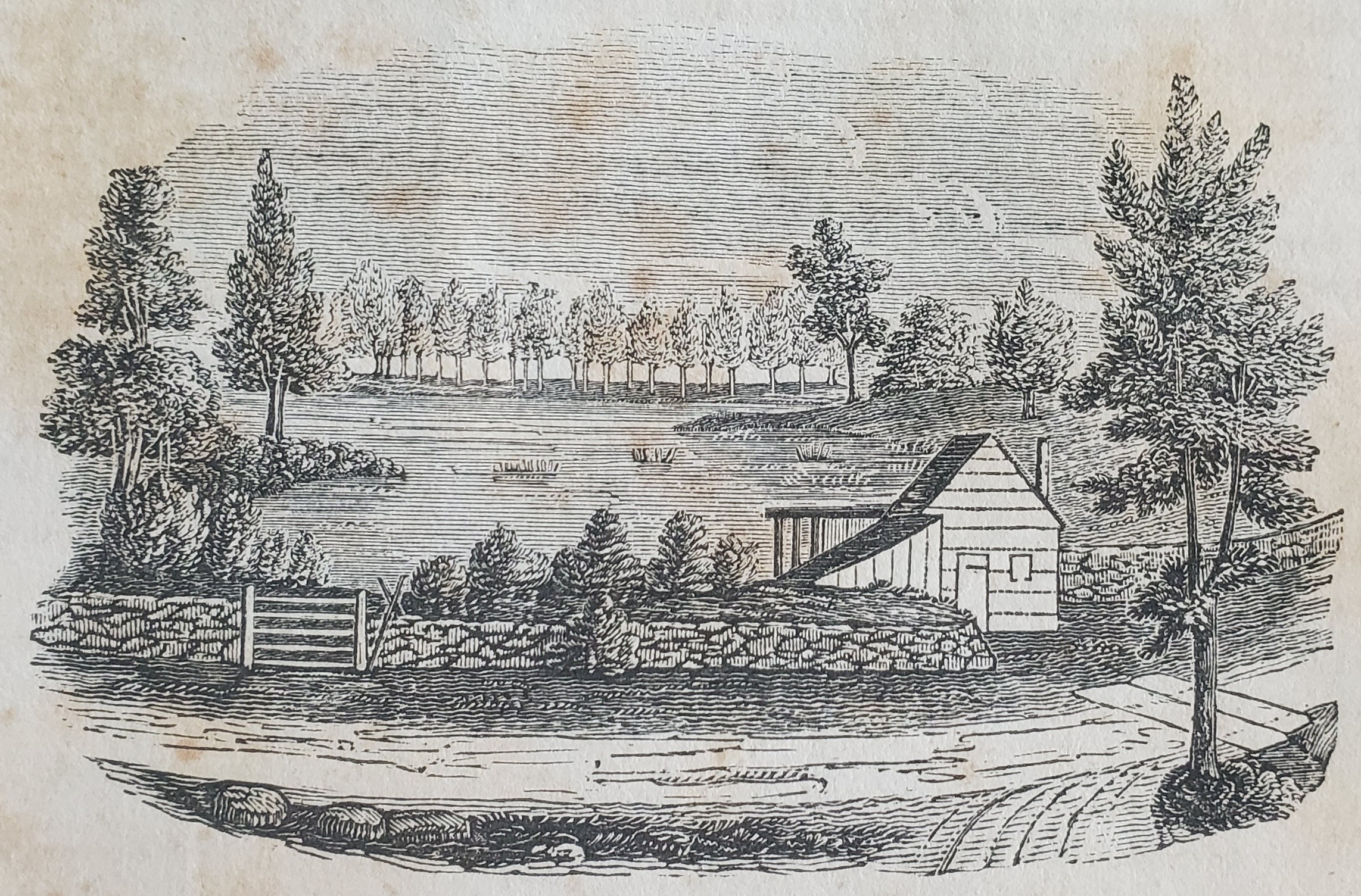 barber frog pond – Windham Textile and History Museum – The Mill Museum